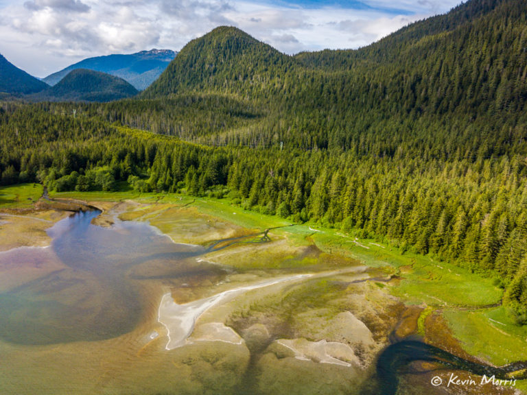 Day 33 | Flotilla to Alaska | Ford’s Terror to Taku Harbor | Slowboat